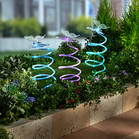 3 papillons solaires | Vitrine Magique